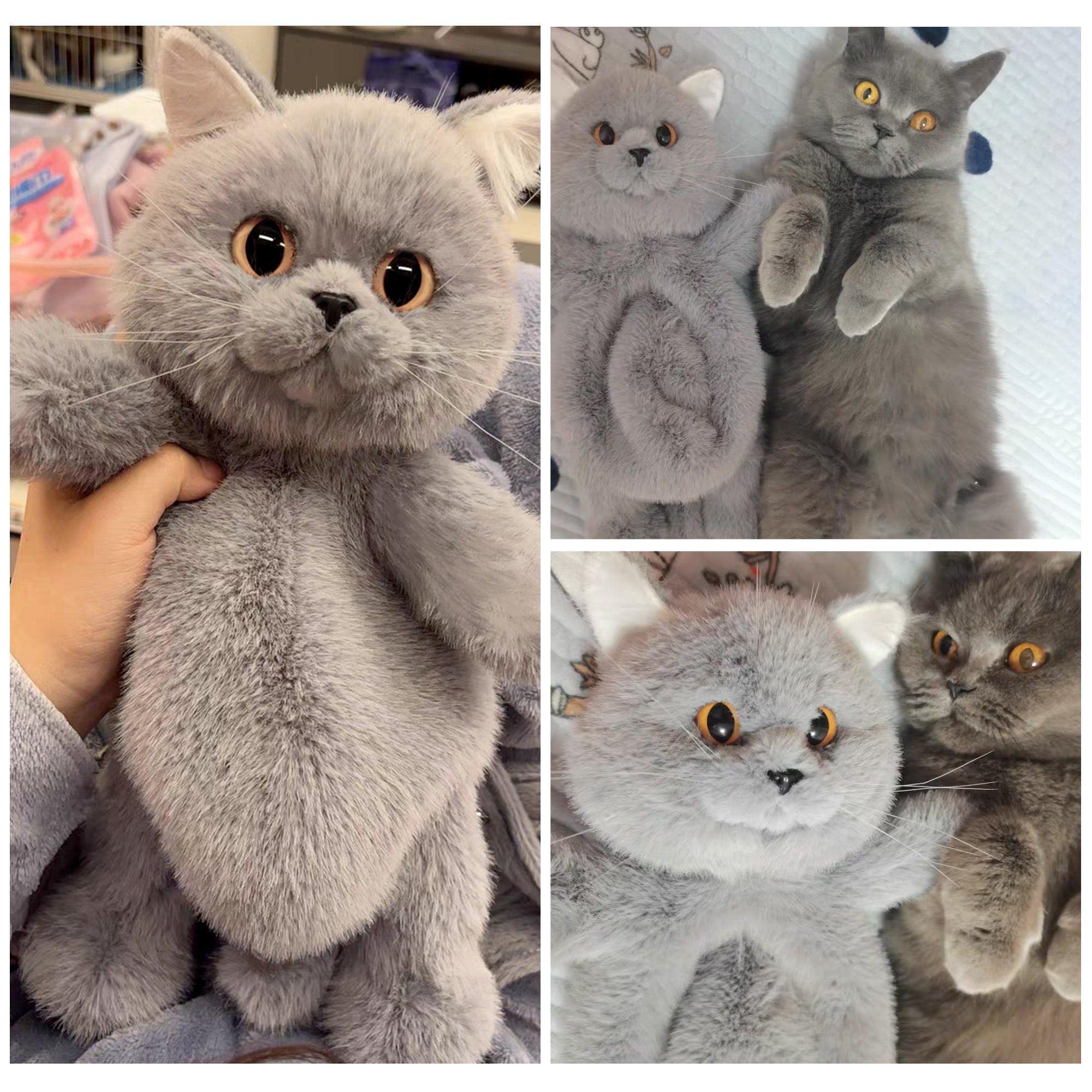 Russian Blue Cat Backpack – Cat Lover’s Daily Bag – Nona and Papa Gifts