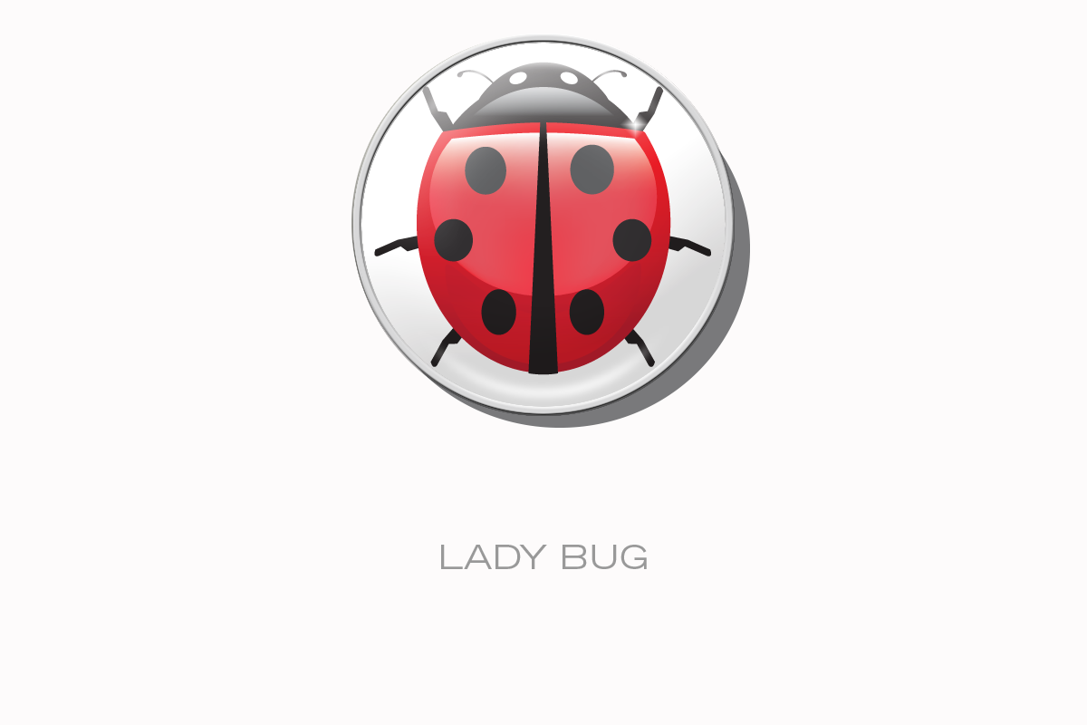 RaceDots: Magnetic Race Number Positioning System 4-Pack (Lady Bug ...